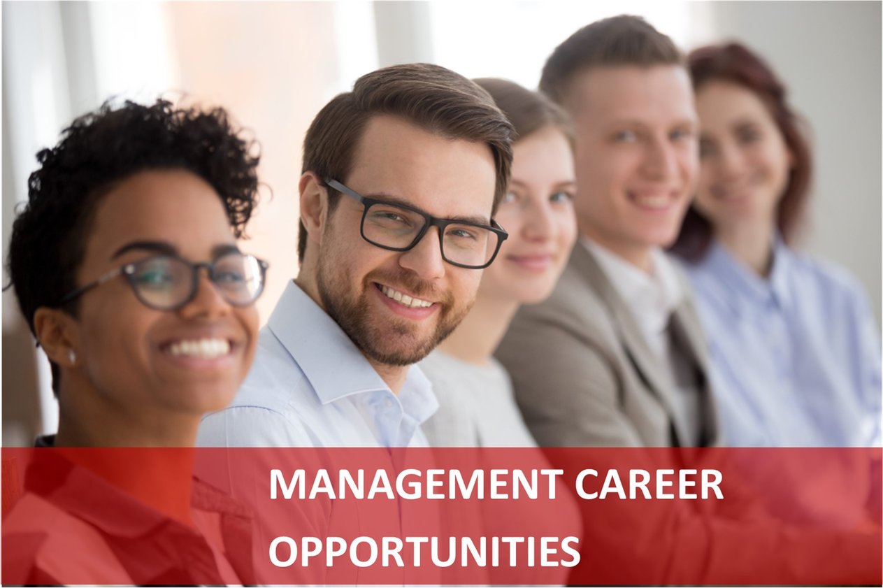 Management Career